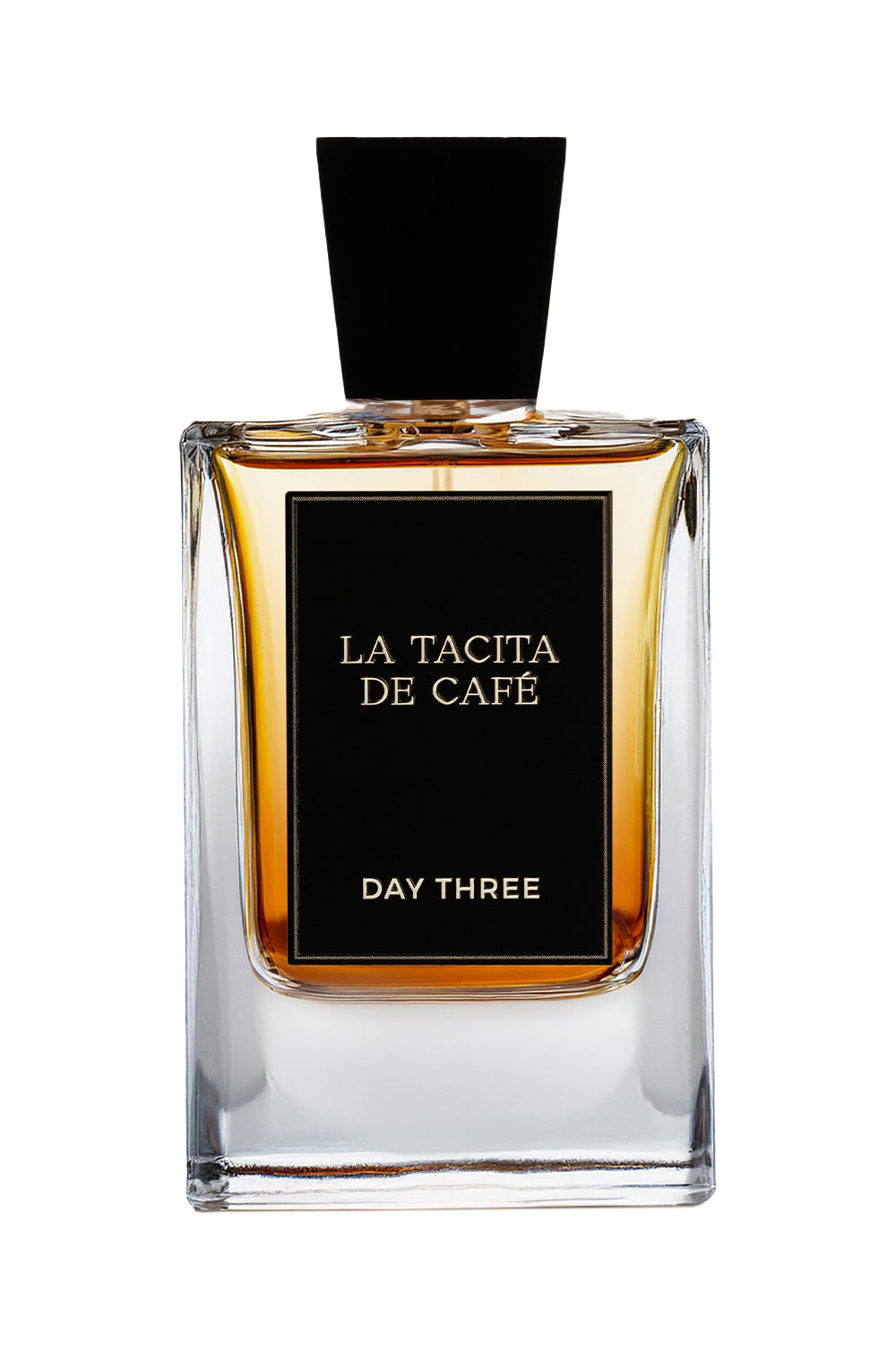 Aylan – Day Three Fragrances